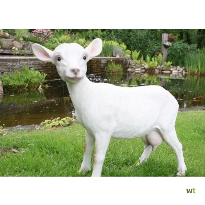 Geit 51x23x46 cm Polystone beeld Farmwood Animals
