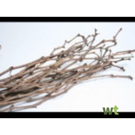 Decoratie druiventak bundel HBX Deco